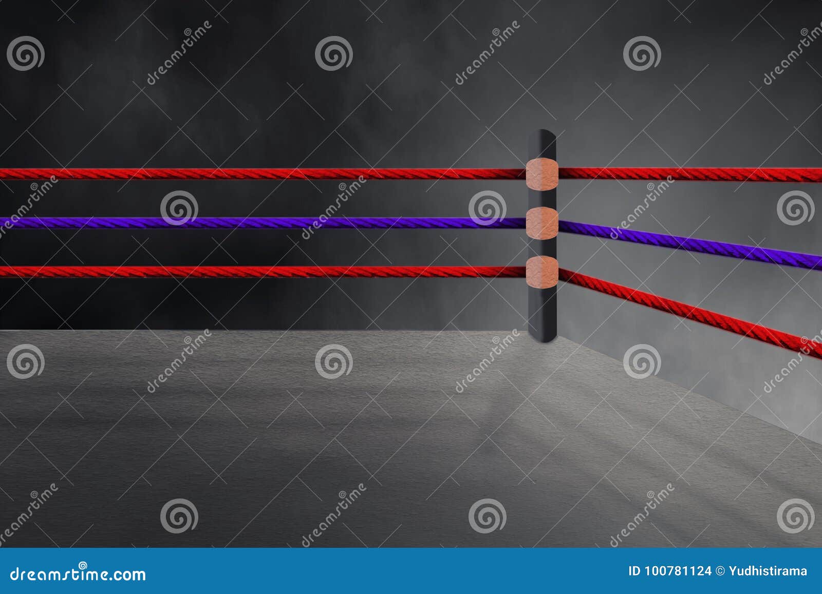View of a Regular Boxing Ring Surrounded by Red Ropes Spotlit Stock ...