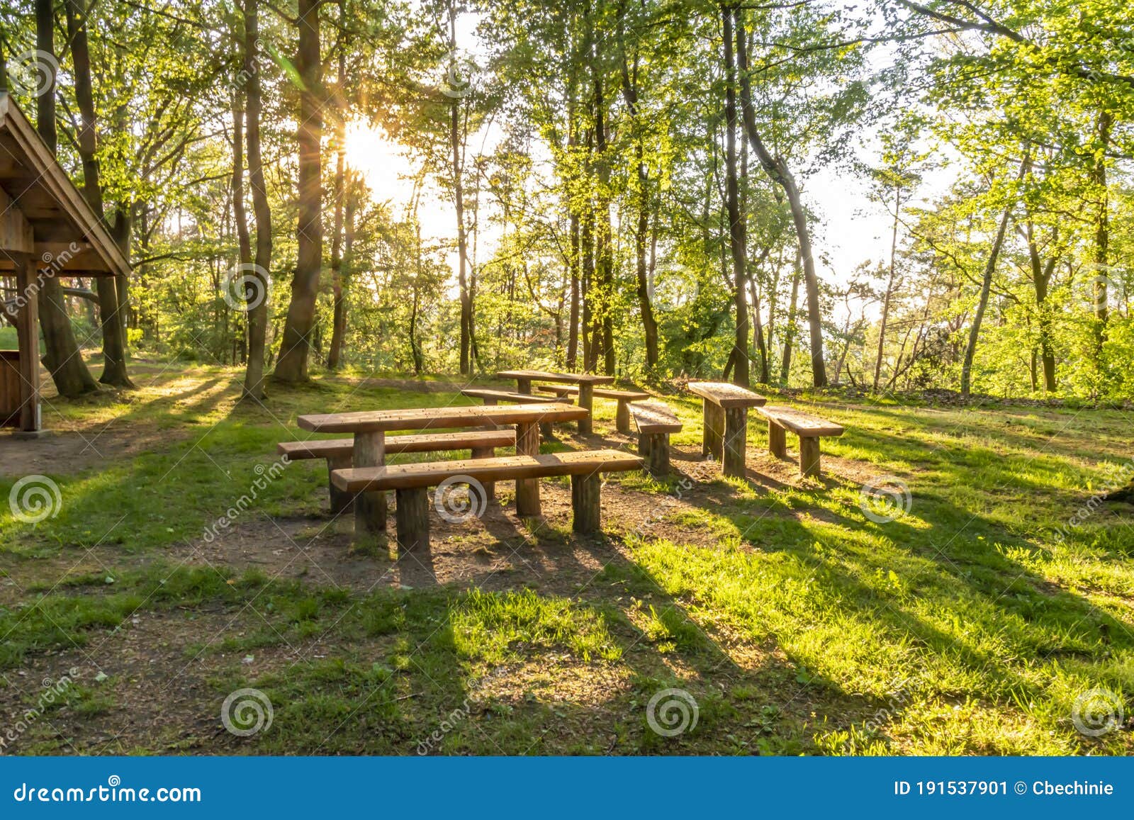 A Resting Place in the Forest Illuminated by the Setting Sun Whose Rays ...