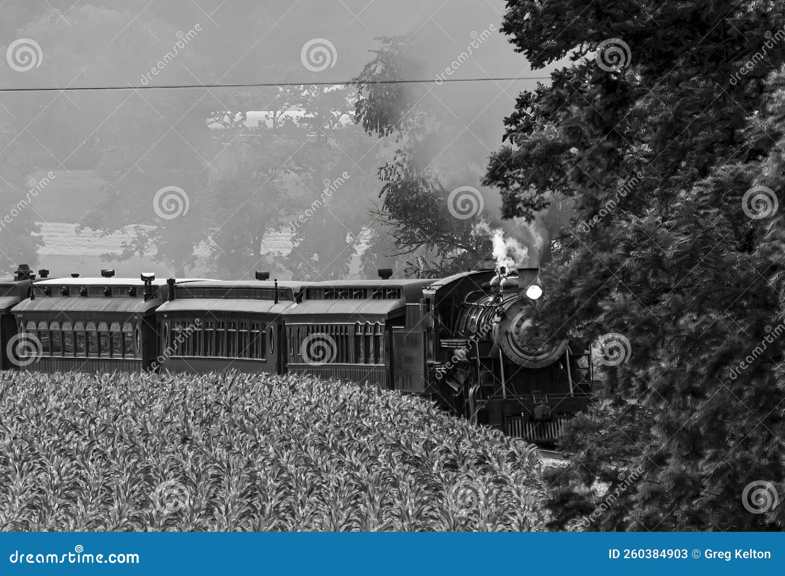View of a Restored Steam Passenger Train Approaching Around a Curve in ...