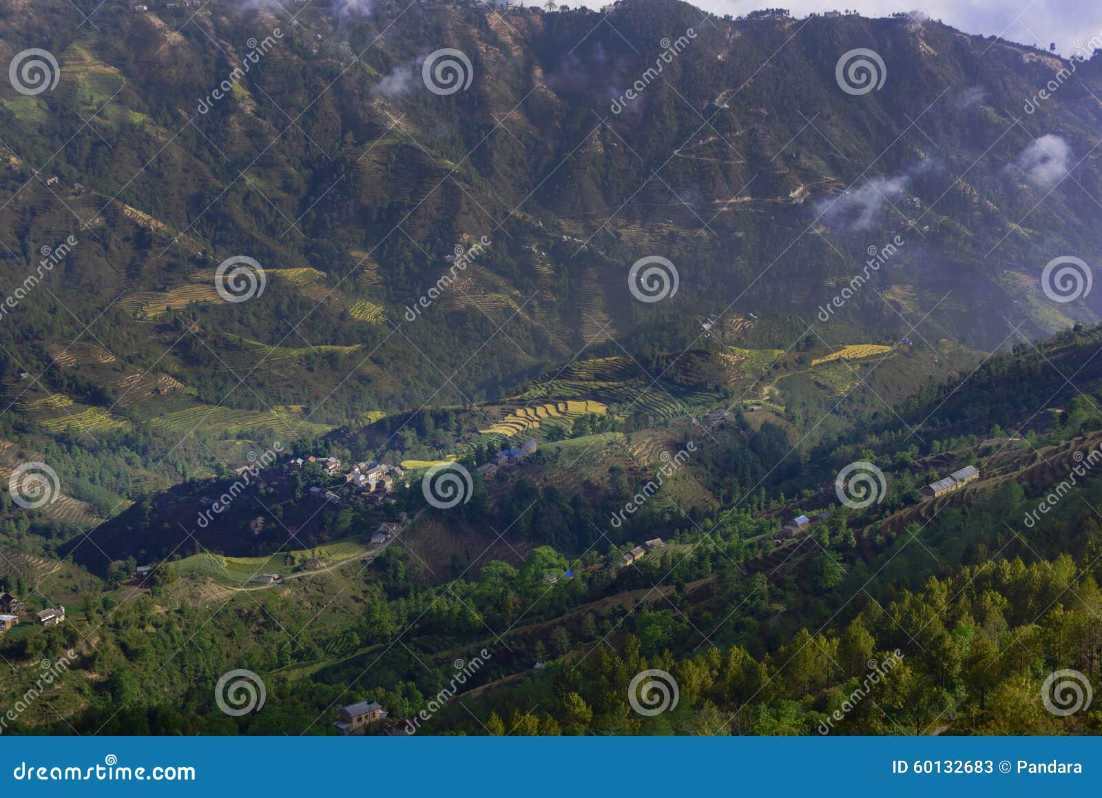 View of Rice Field in Village, Nepal Stock Image - Image of asia ...