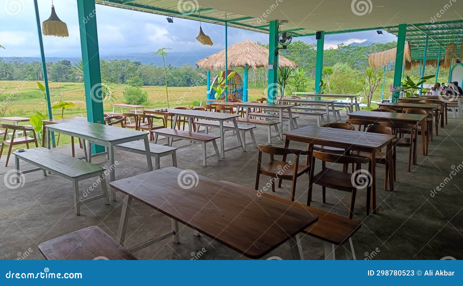 View of Rice Fields from a Cafe Stock Image - Image of fields, road ...