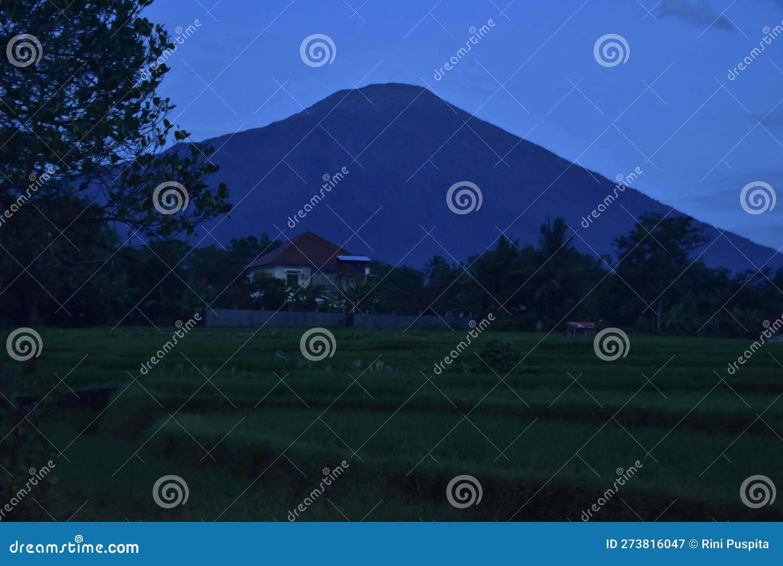 View of Rice Fields and Mount Ciremai in Kuningan at 05:38, West Java ...