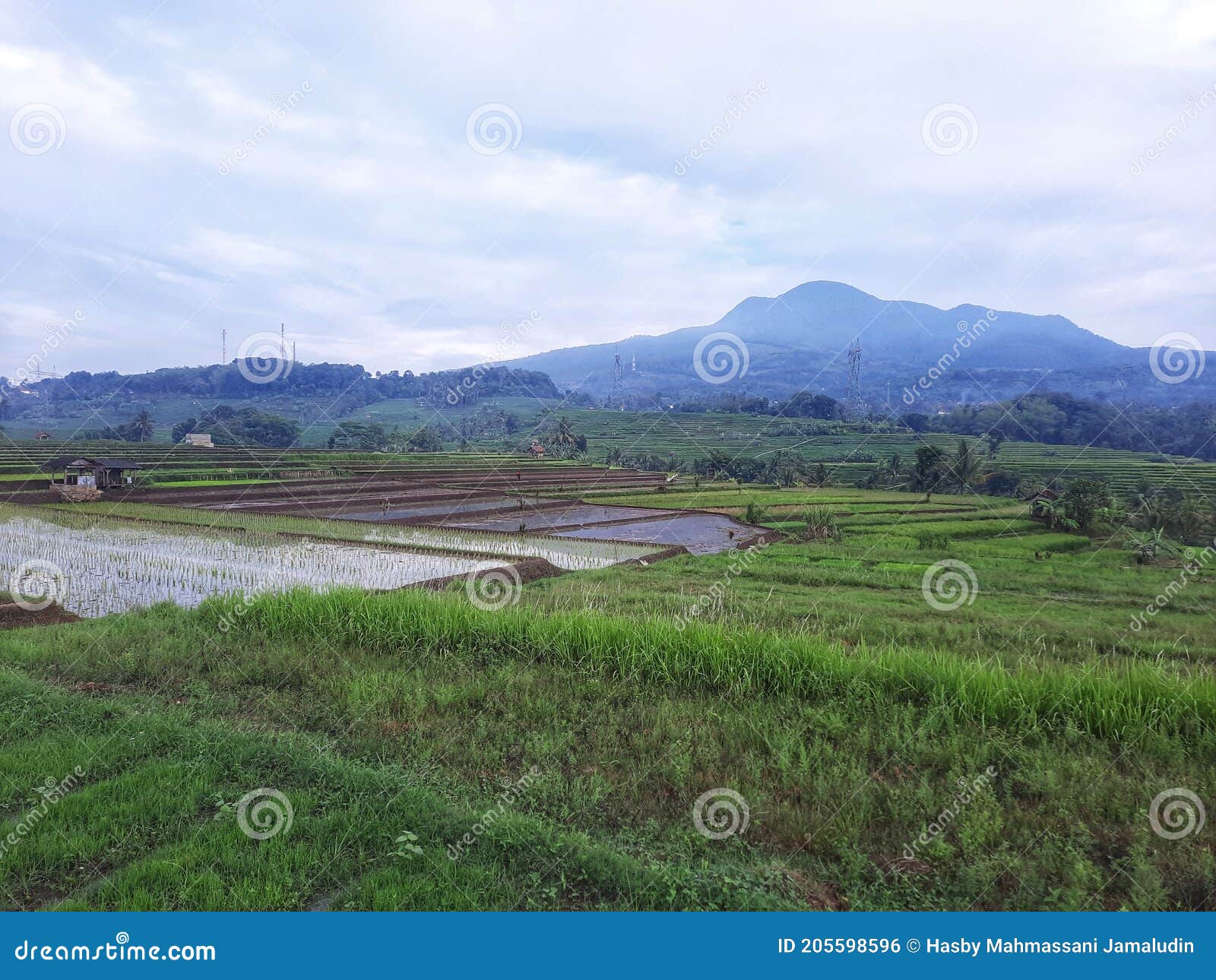 View of Rice Fields and Mount Tampomas in the Countryside Stock Photo ...