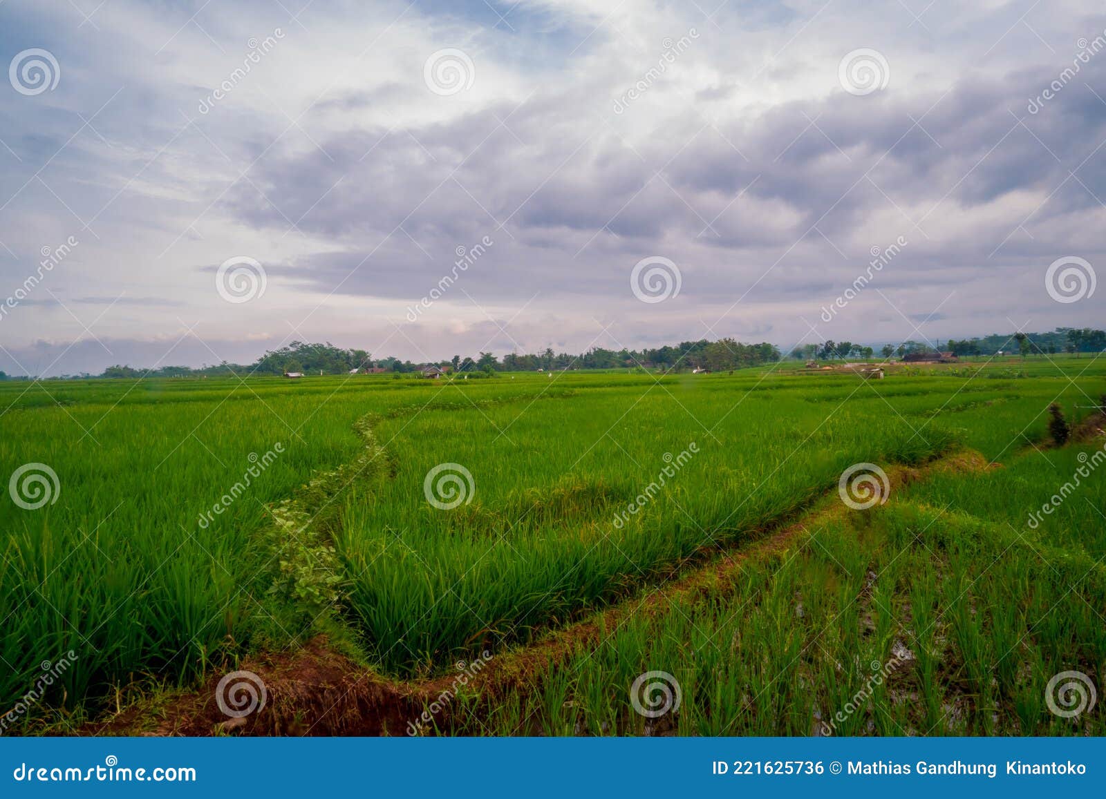 View of Rice Fields on the Mountain with a Beautiful Terraced Rice ...