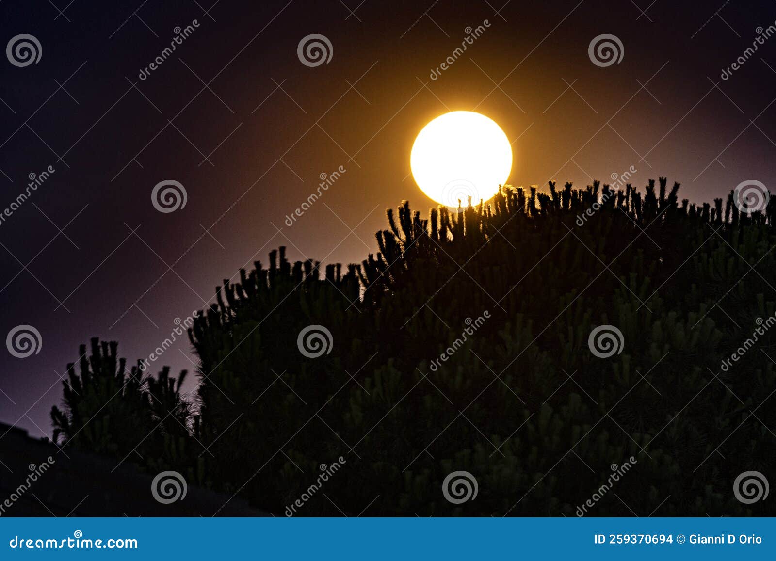 View of the Rising of the Moon at the Perigee Stock Photo - Image of ...