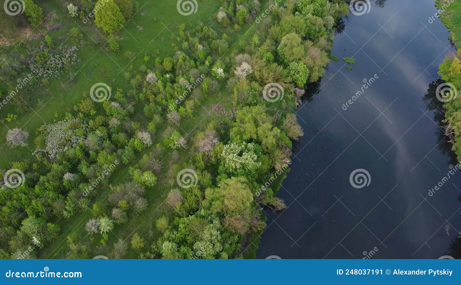 View of the River from Above. Flight Over Water and Forest Trees from a ...