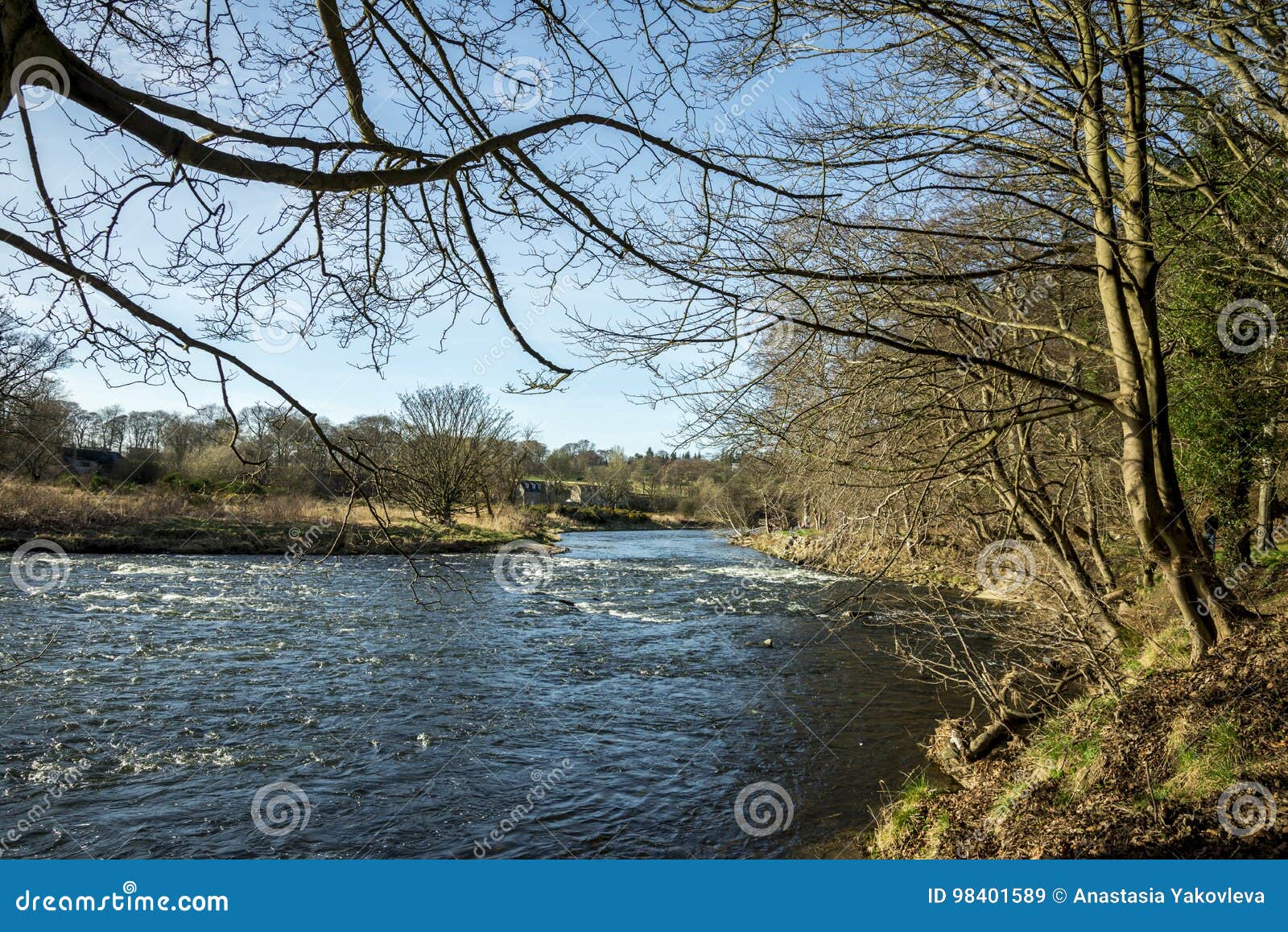 A View of River Don in Seaton Park, Aberdeen Stock Image - Image of ...