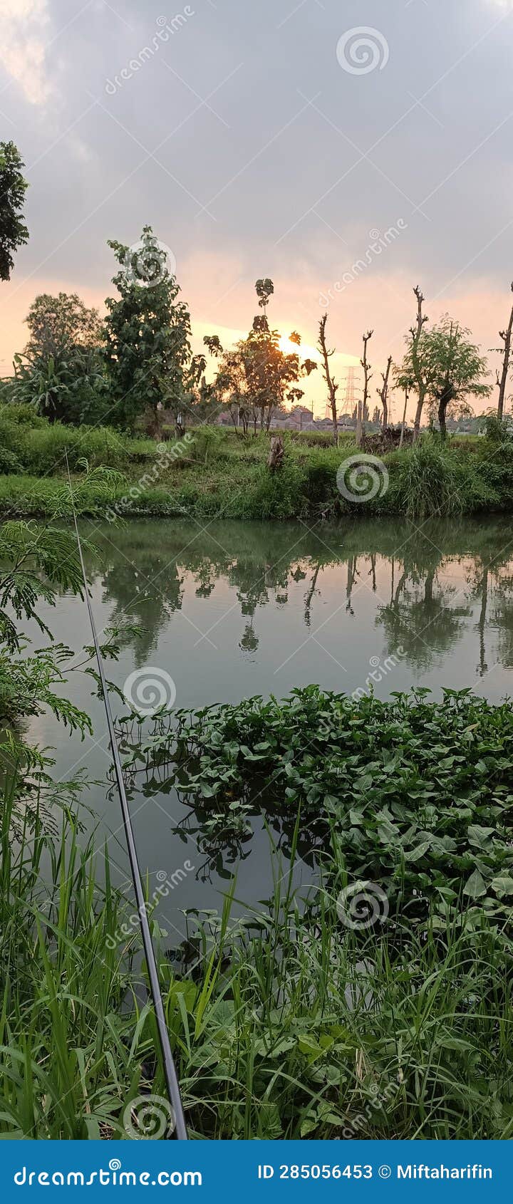 View of the River in the Evening Water Stock Image - Image of natural ...