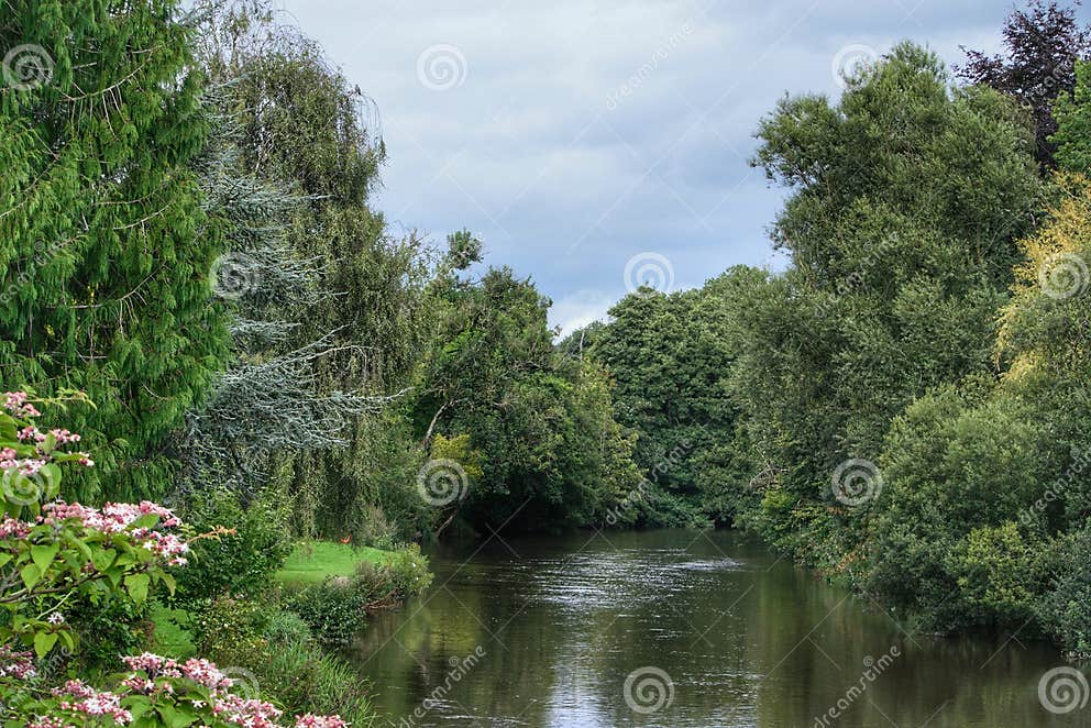 View of River Exe in Devon stock image. Image of pond - 194667567