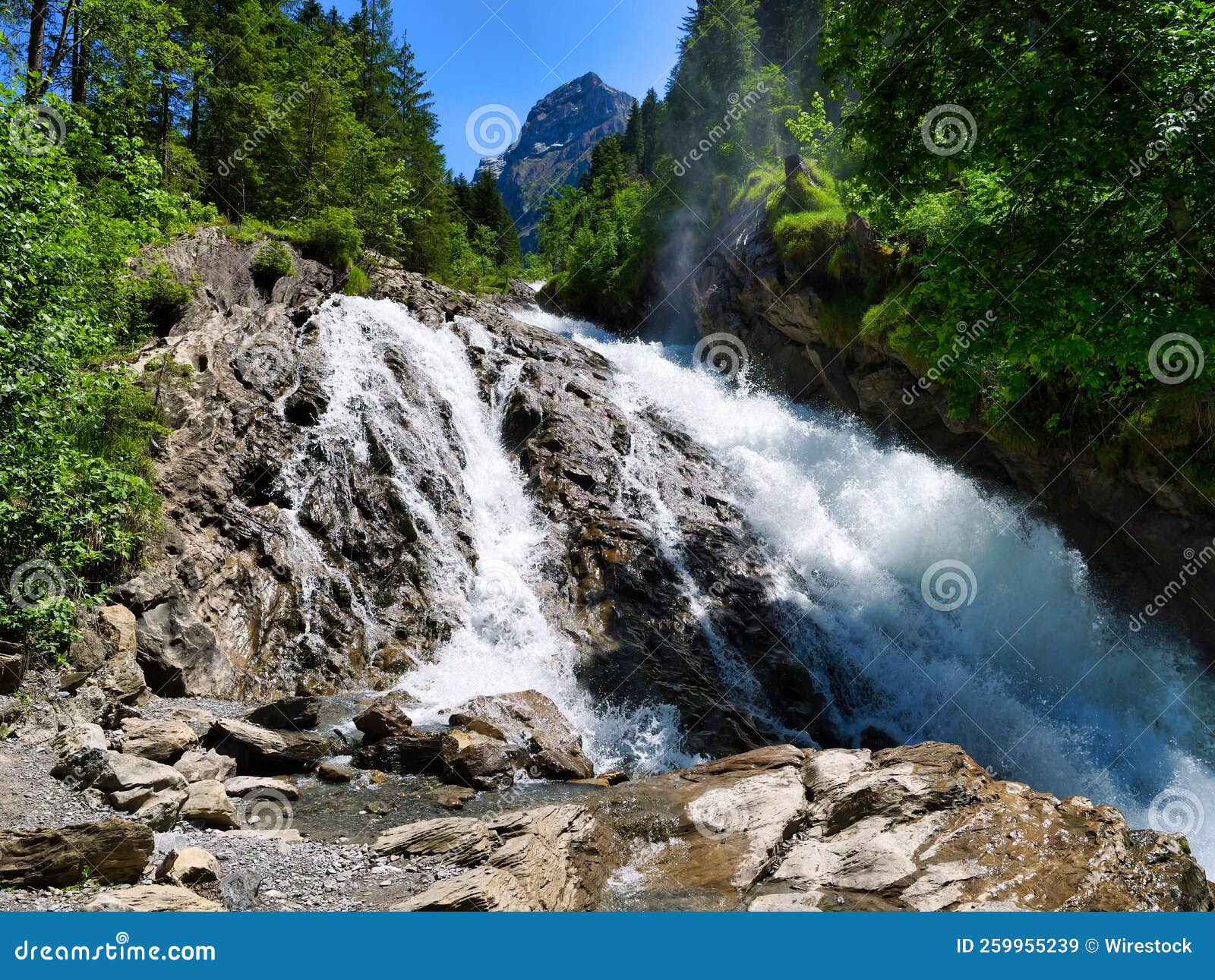 View of a River Falling Down a Rocky Slope in the Forest Under the Blue ...