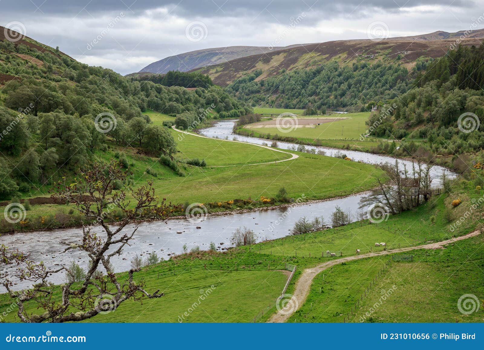 View of the River Findhorn in Scotland Stock Photo - Image of scenery ...