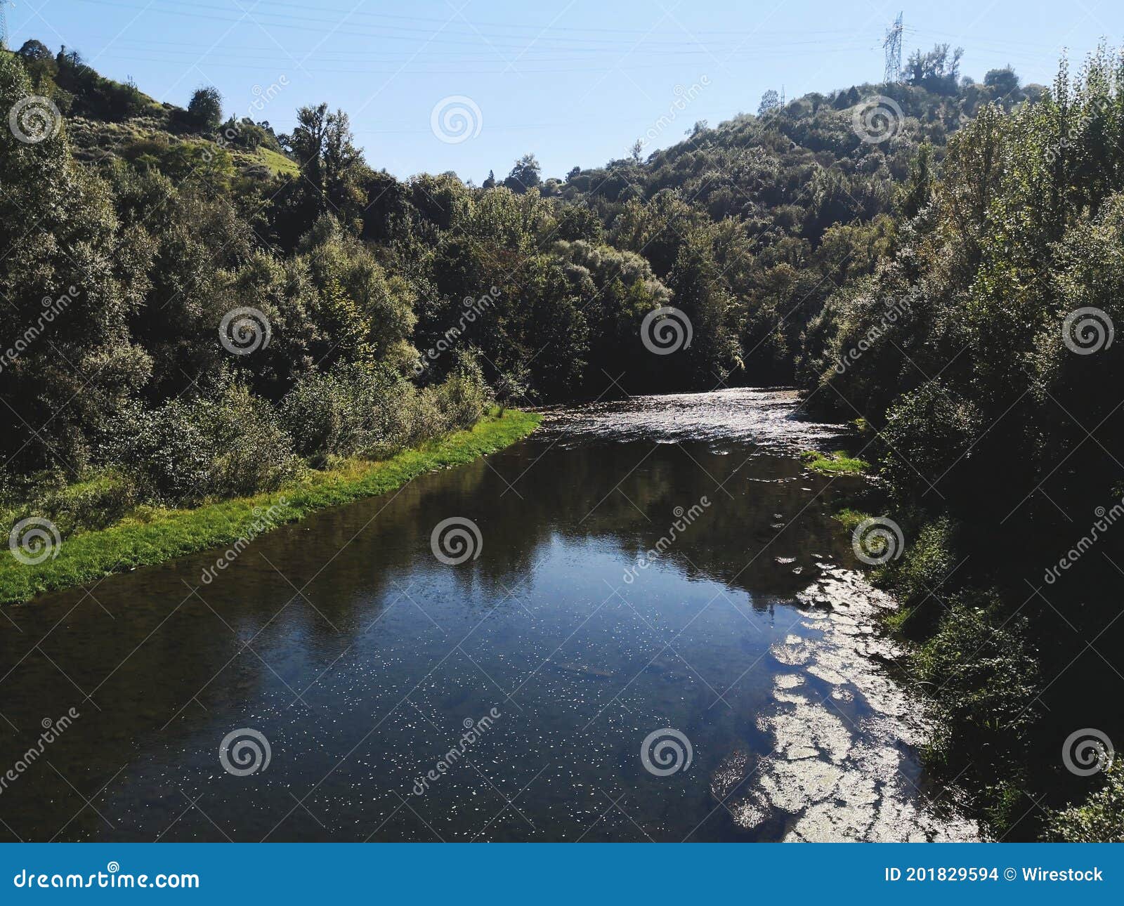 View of a River Flowing Downstream with Thick Vegetation on Both Sides ...