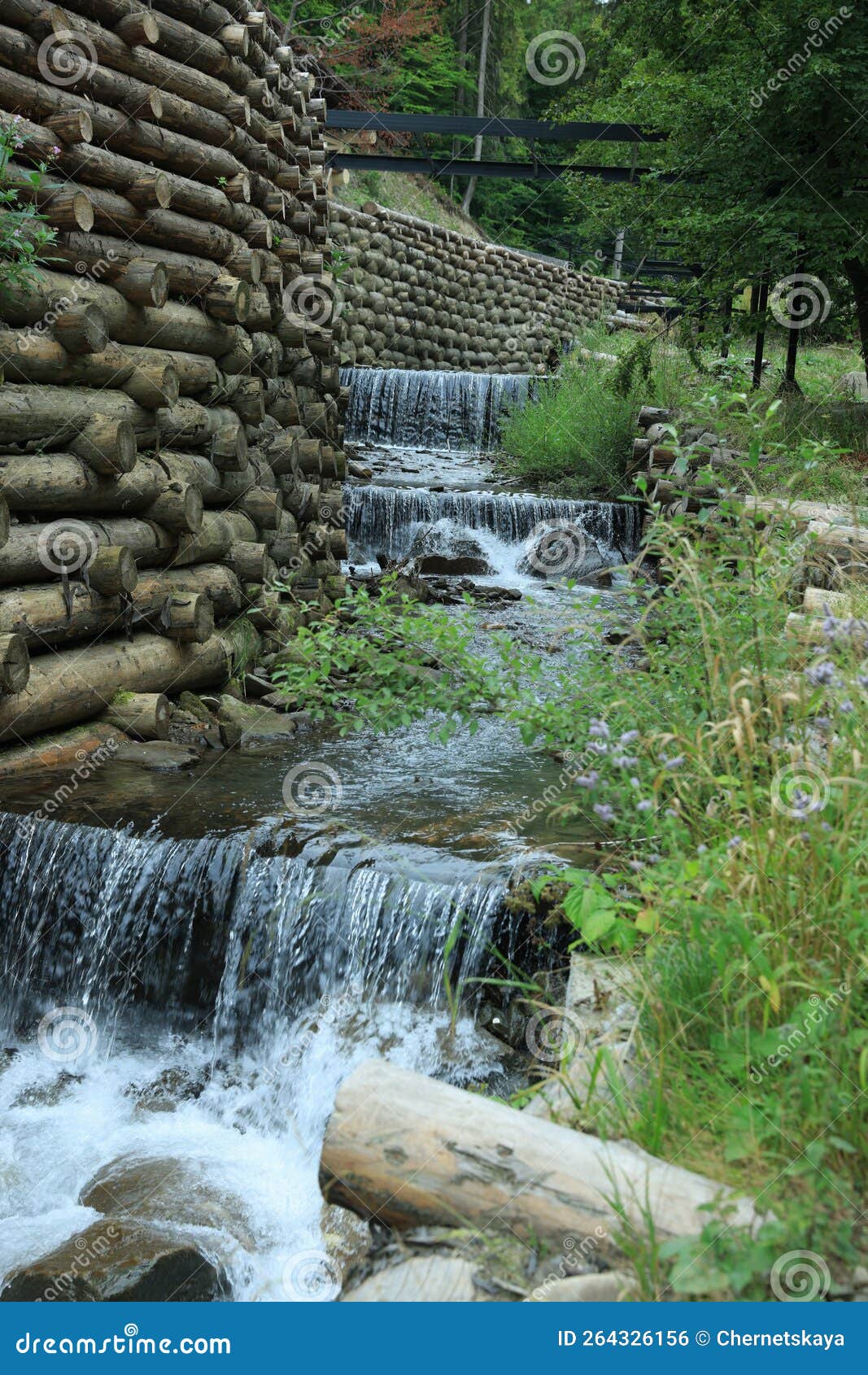 View of River Flowing Near Rocks in Forest Stock Photo - Image of ...