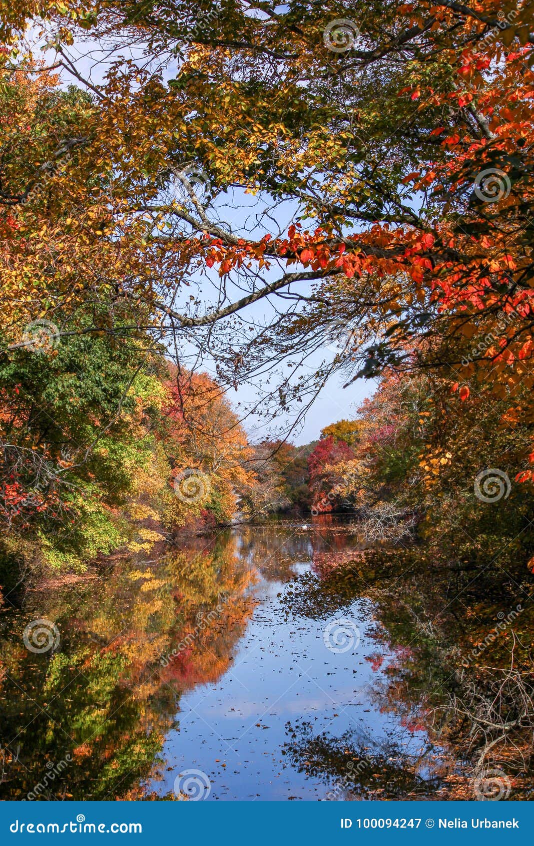 View of a River Framed by Fall Foliage Stock Image - Image of river ...