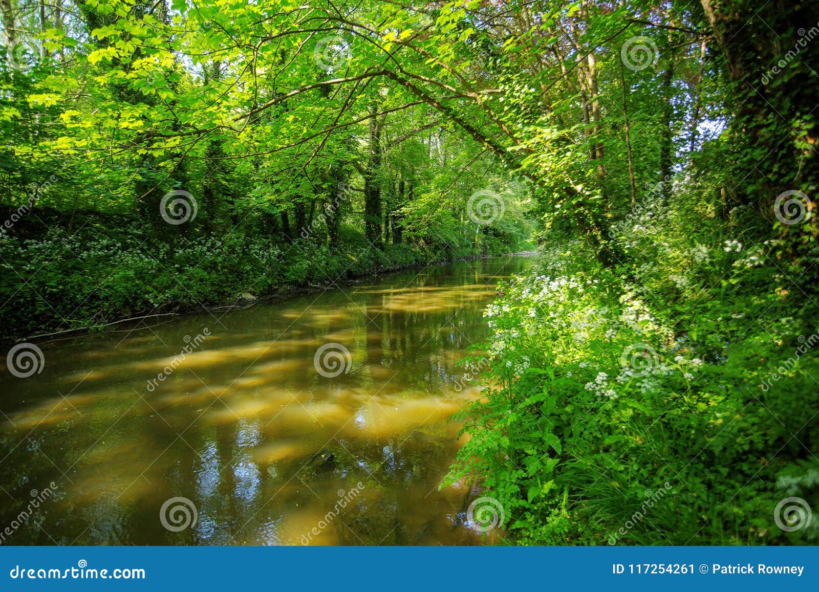 A View of the River Frome in Frome Town Stock Image - Image of town ...