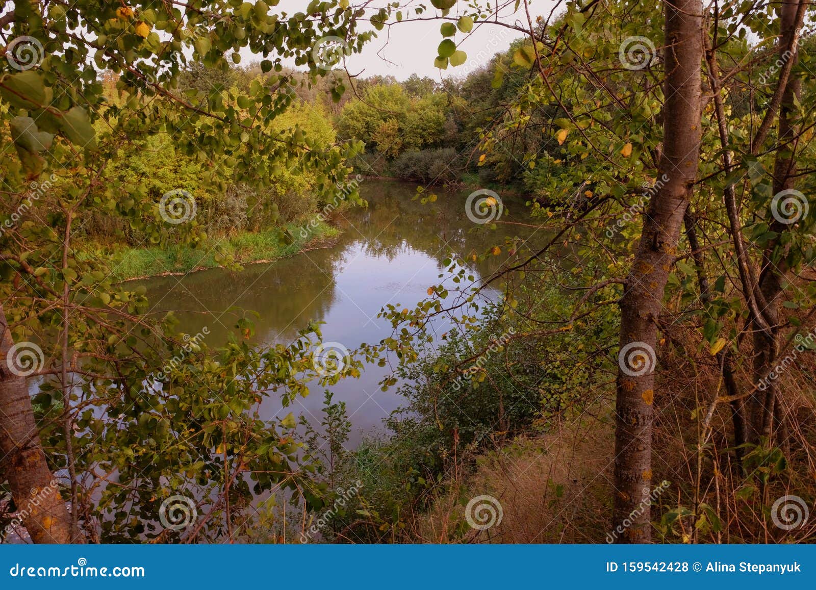 View of the River from a High Bank Stock Photo - Image of forest ...