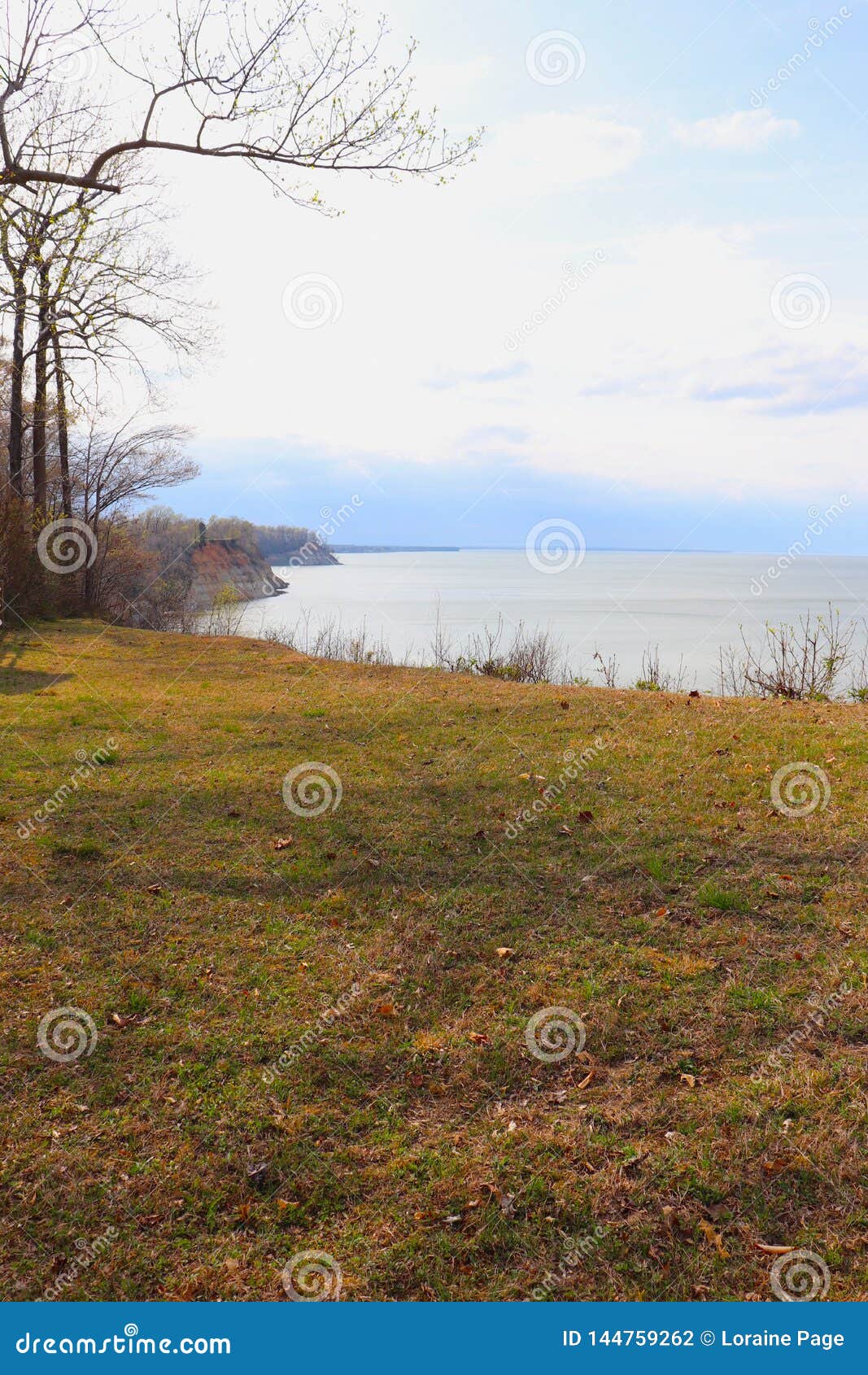 Early Spring River Scene with Cliffs Stock Photo - Image of season ...
