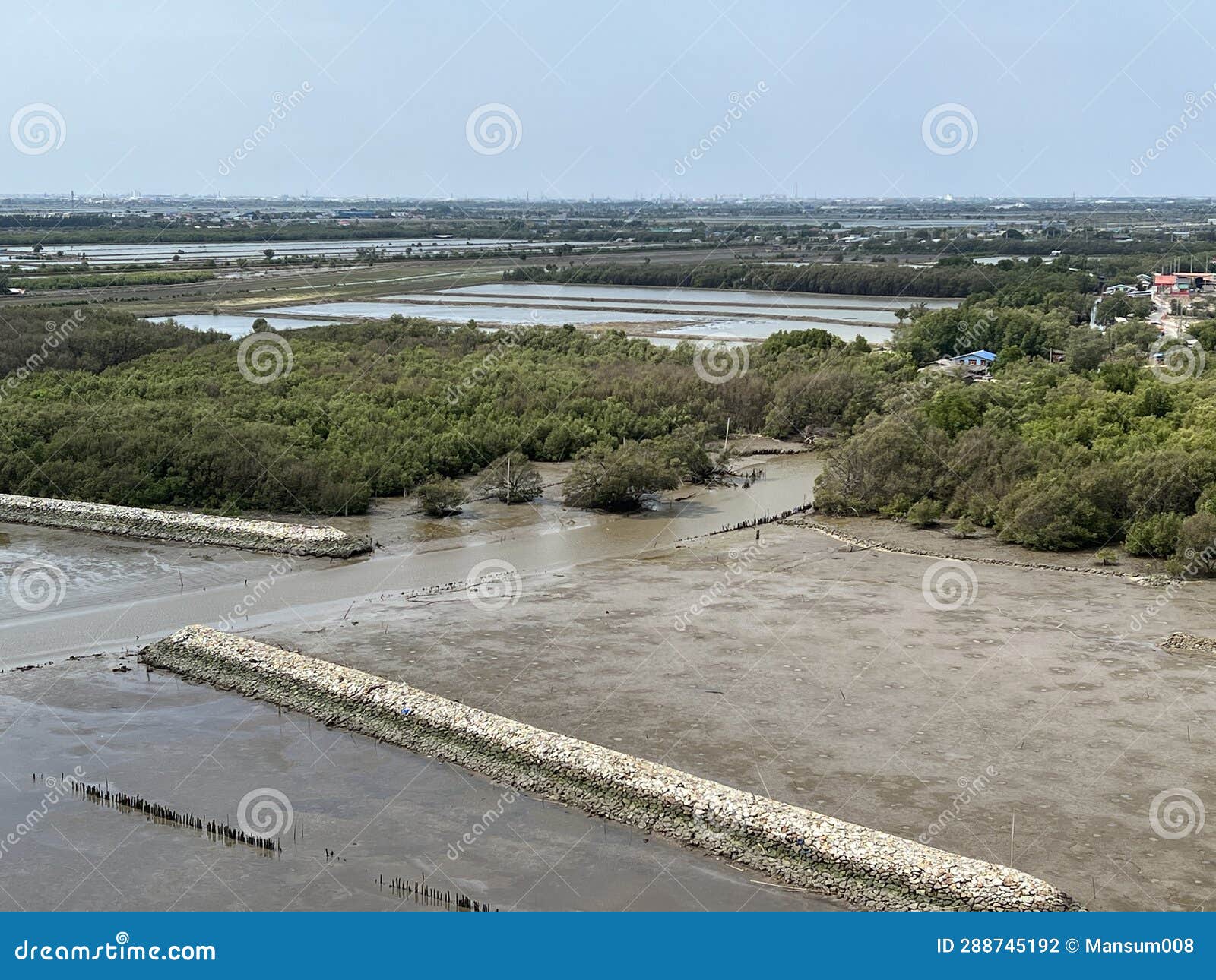 A View of the River with a Lot of Water Stock Photo - Image of mangrove ...