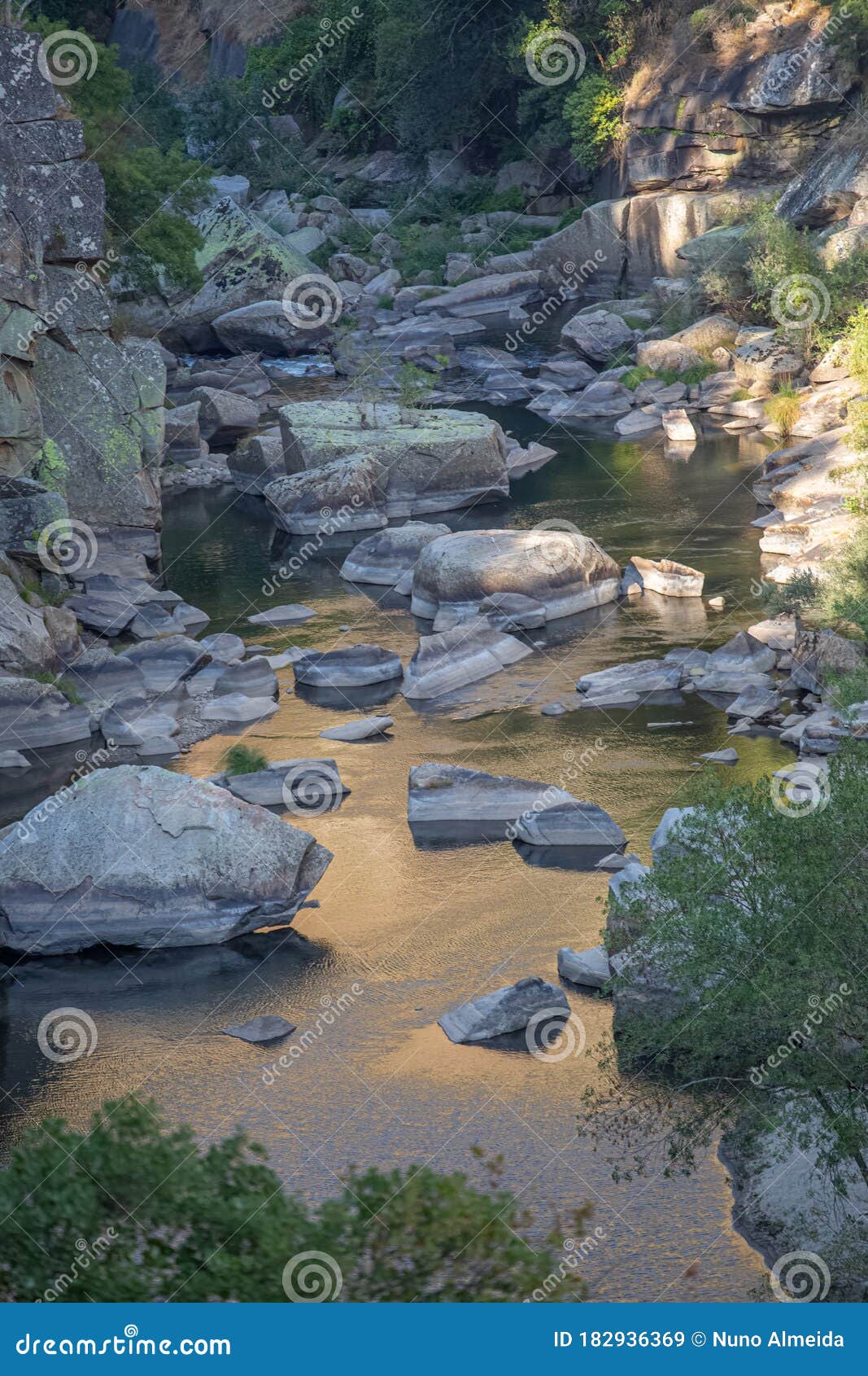 View at the River in Mountain, Margins with Rocks and Vegetation Stock ...