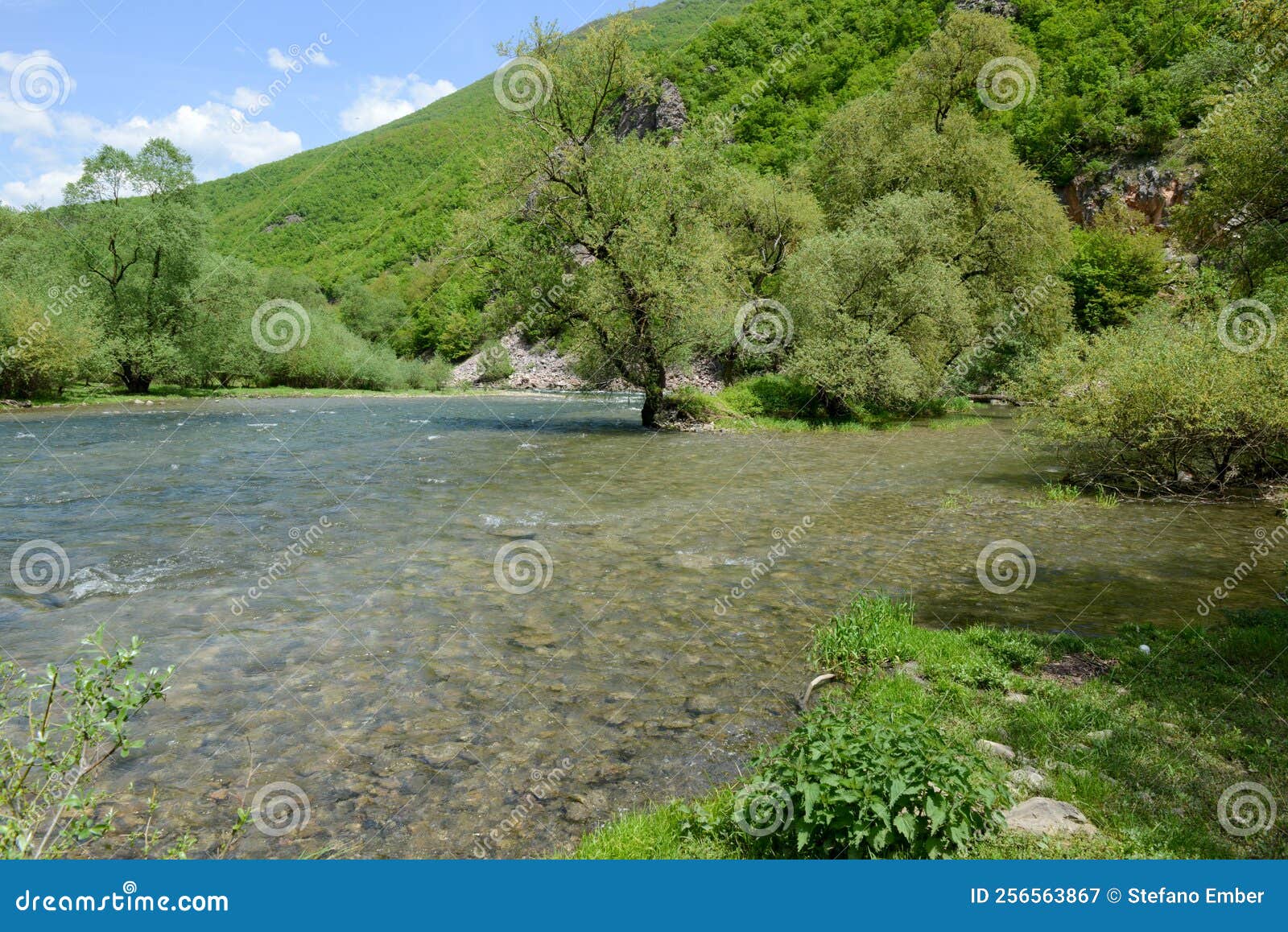 View at the River Over Lake Debar on North Macedonia Stock Image ...