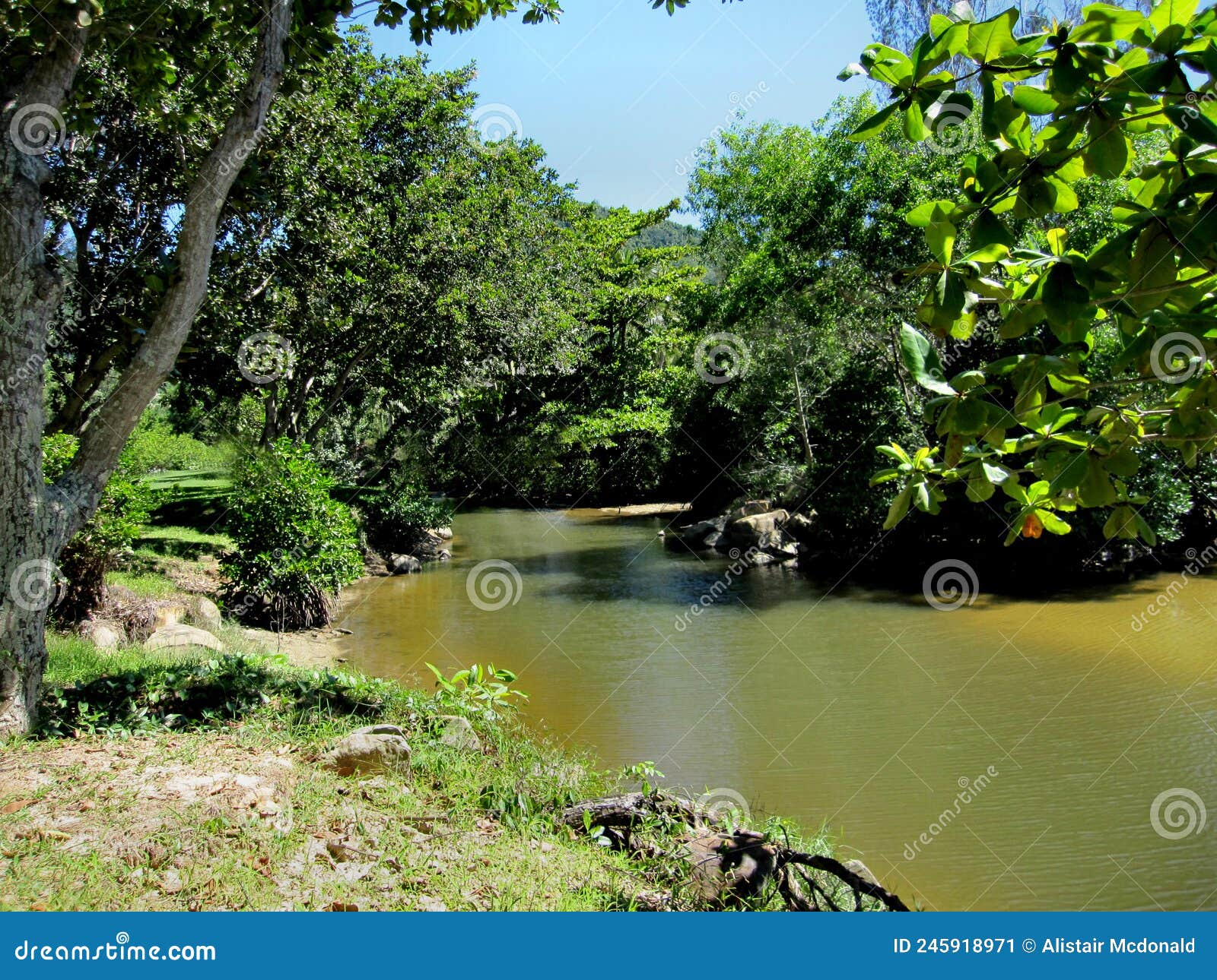 View of River in Sabah Malaysian Borneo Stock Image - Image of green ...