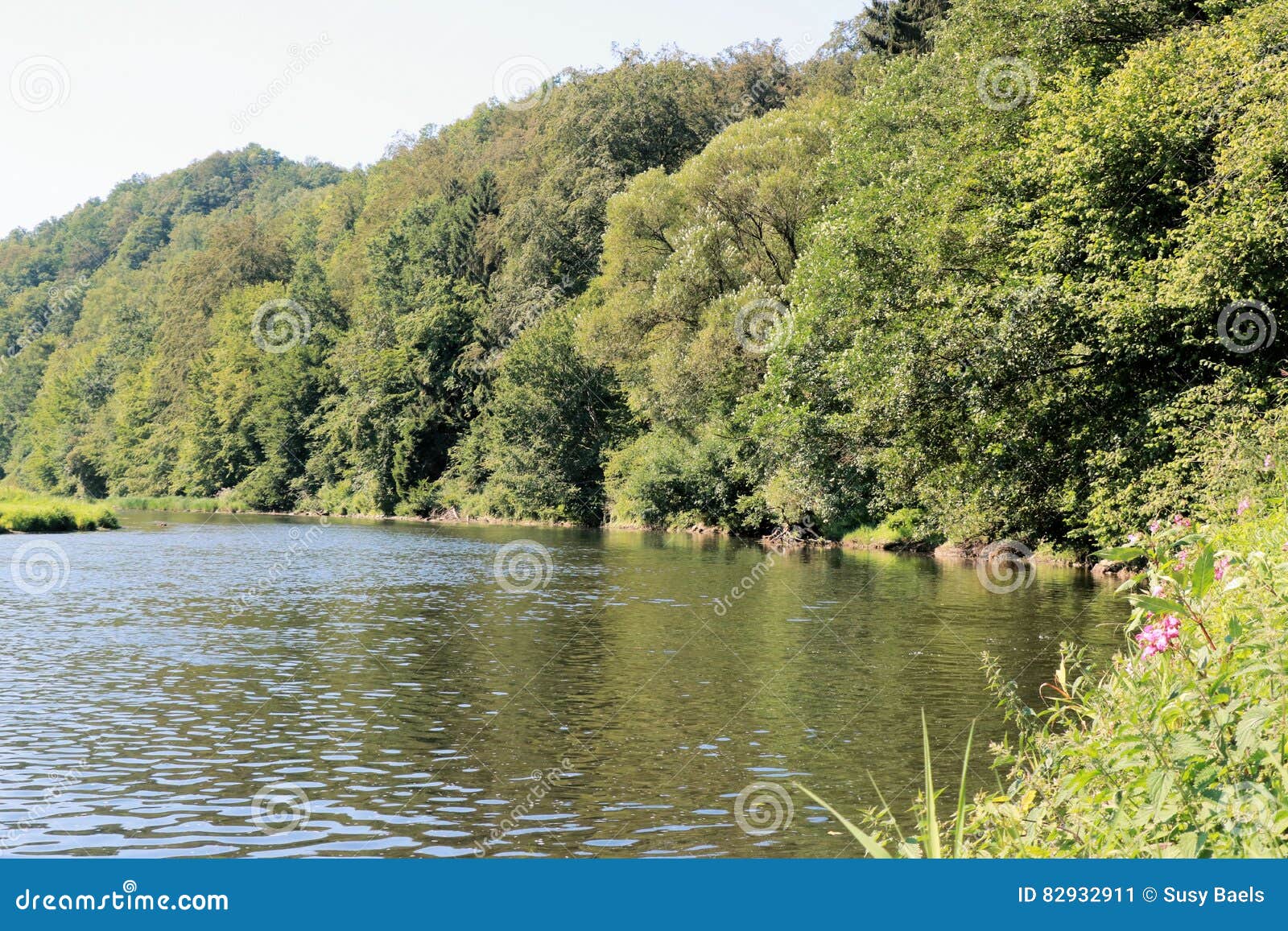 View on the River Semois, Belgian Ardennes Stock Image - Image of ...