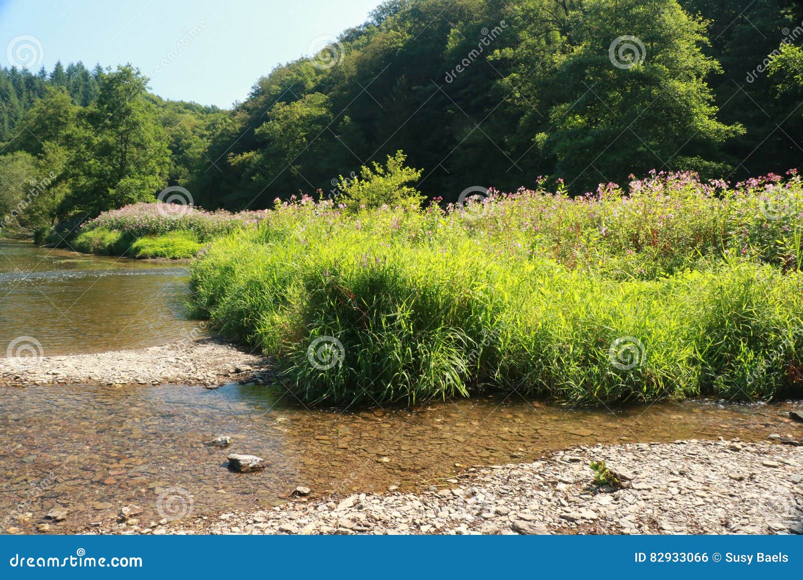 View on the River Semois, Belgian Ardennes Stock Photo - Image of ...