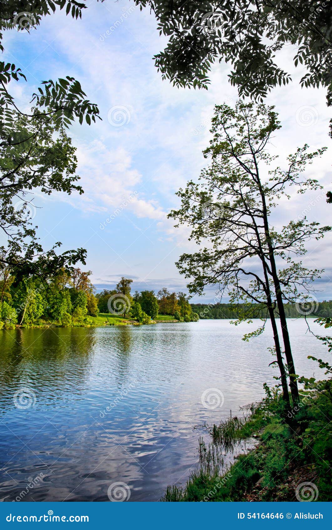 View of the River from the Sky and the Reflection of Clouds Stock Photo ...