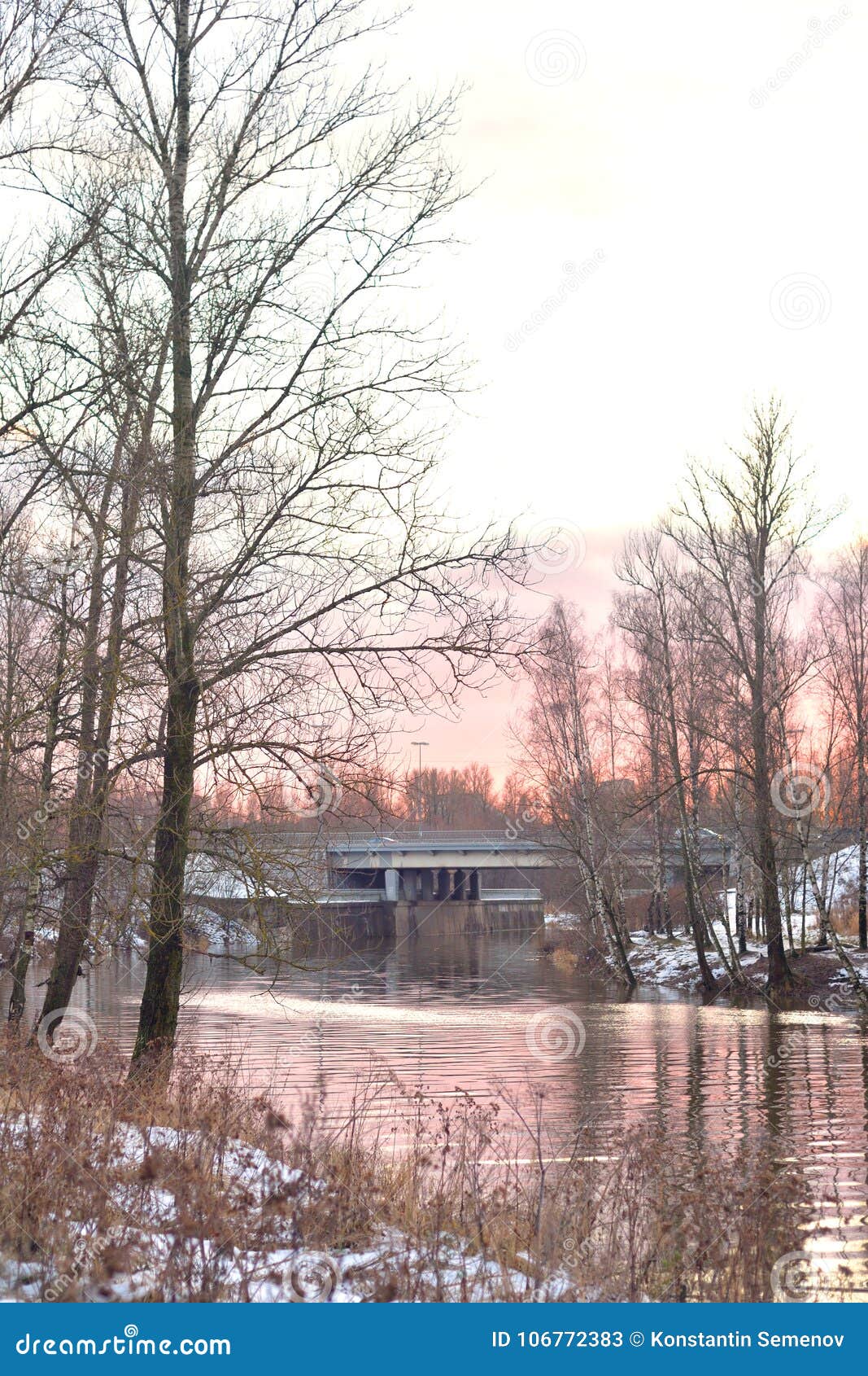 View of the River Slavyanka. Stock Image - Image of flora, natural ...