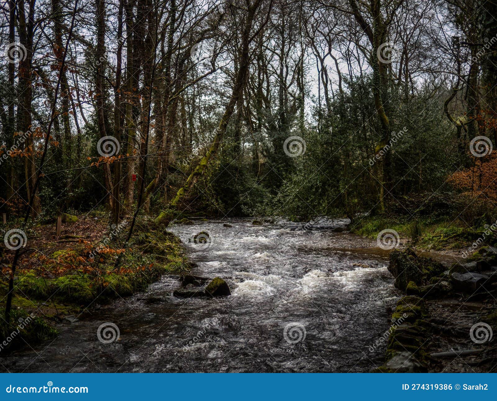 View of River Taw, Sticklepath, Devon. Dartmoor Landscape. Stock Photo ...