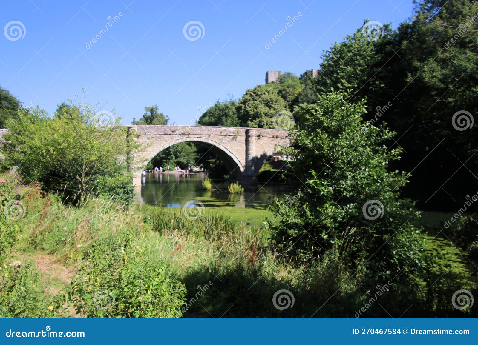 A View of the River Teme in Ludlow Stock Photo - Image of ludlow, teme ...