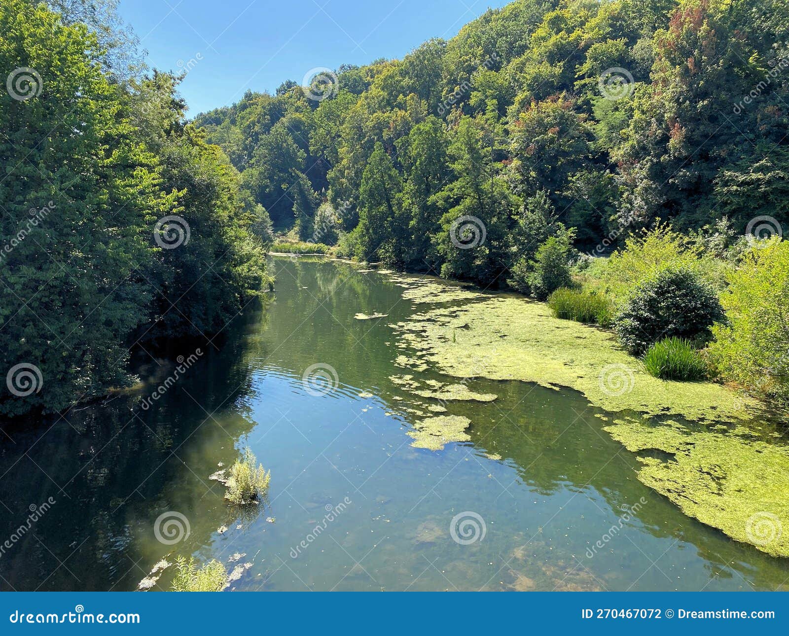 A View of the River Teme in Ludlow Stock Photo - Image of natural ...