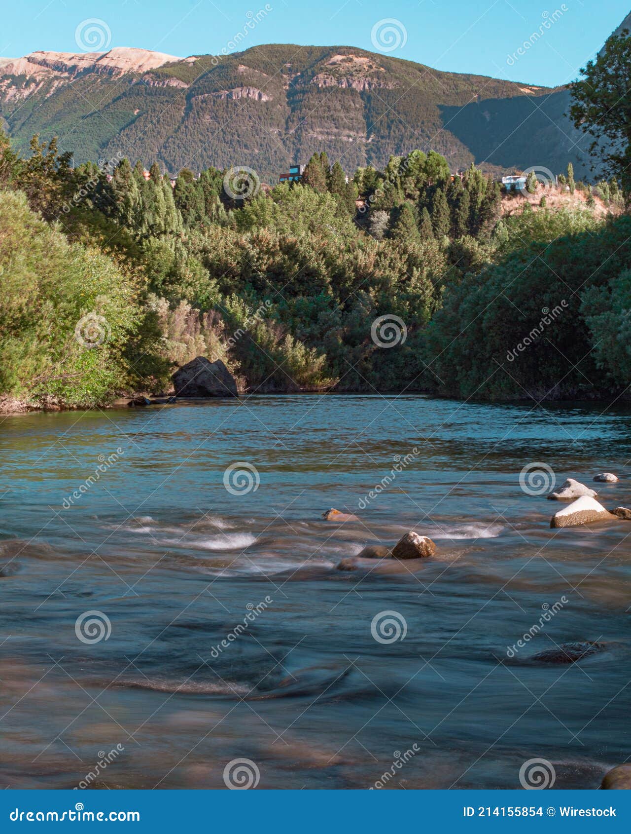 View of a River with Trees Alongside Stock Photo - Image of river ...