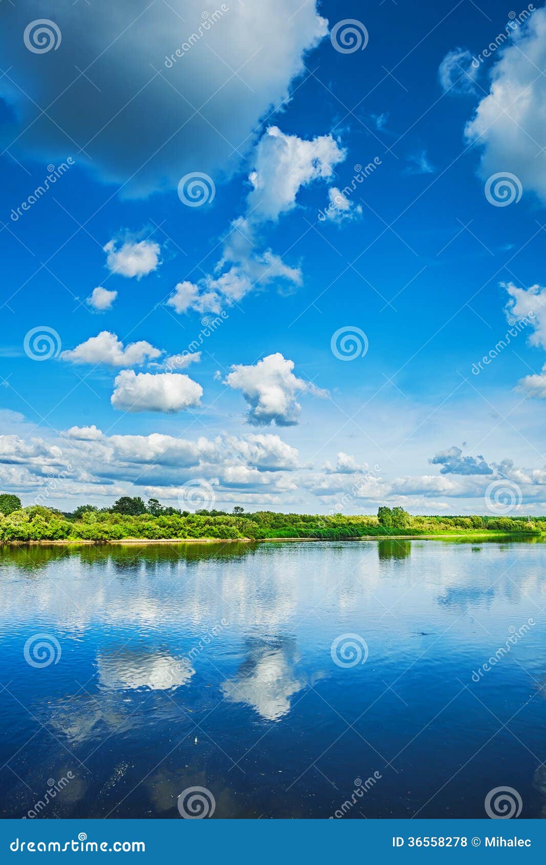 View on riverside stock photo. Image of forest, beauty - 36558278
