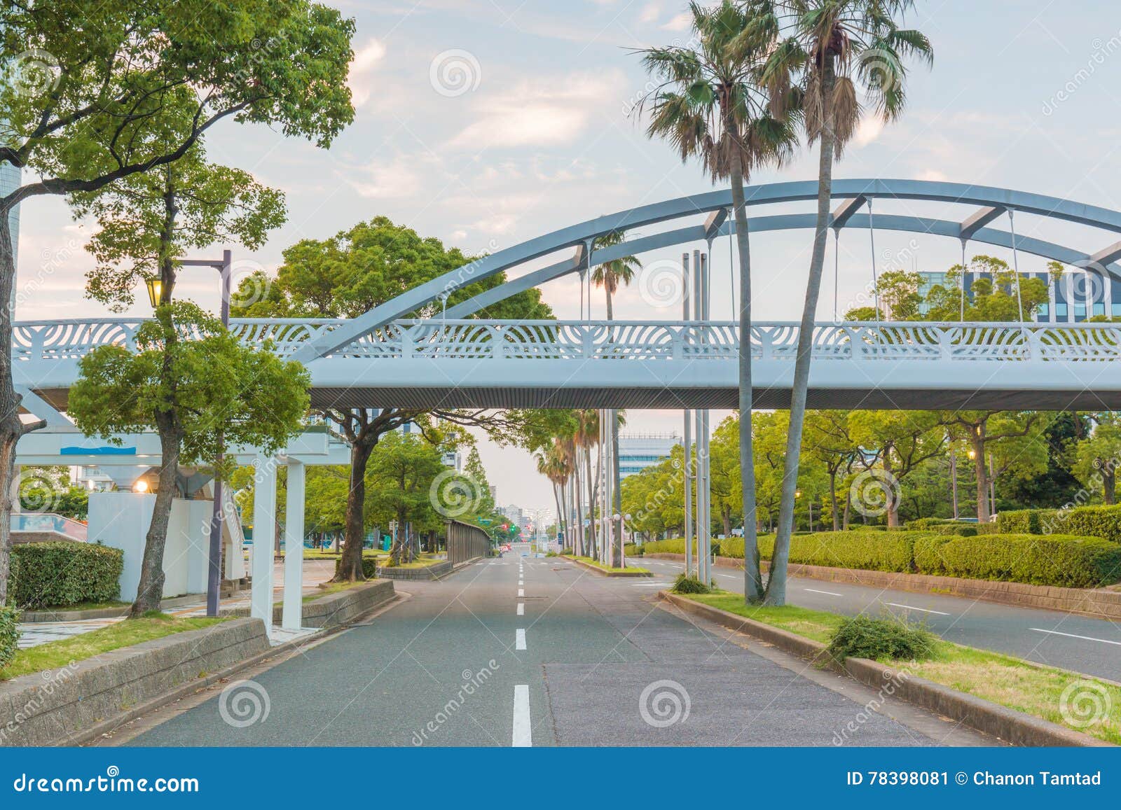 View of Road in City with Modern White Bridge. Stock Image - Image of ...