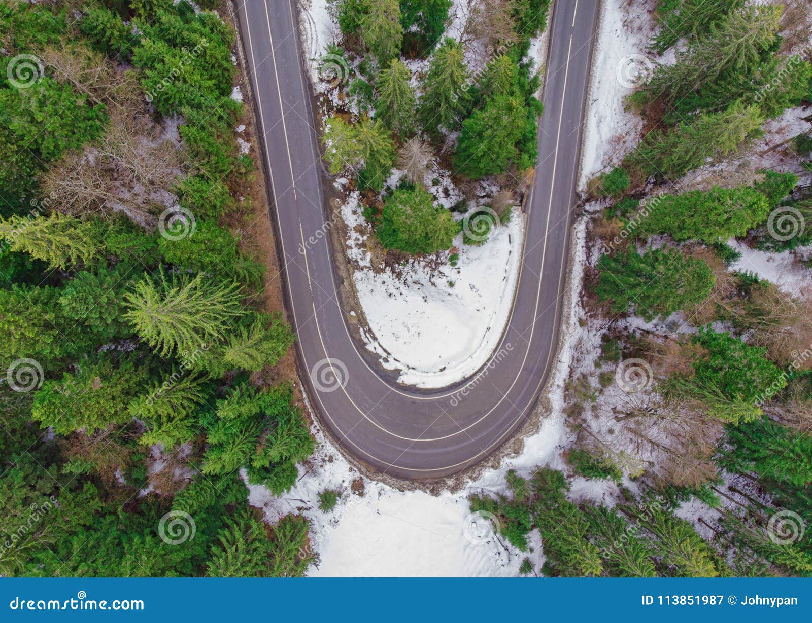 View of road in the forest stock image. Image of hills - 113851987