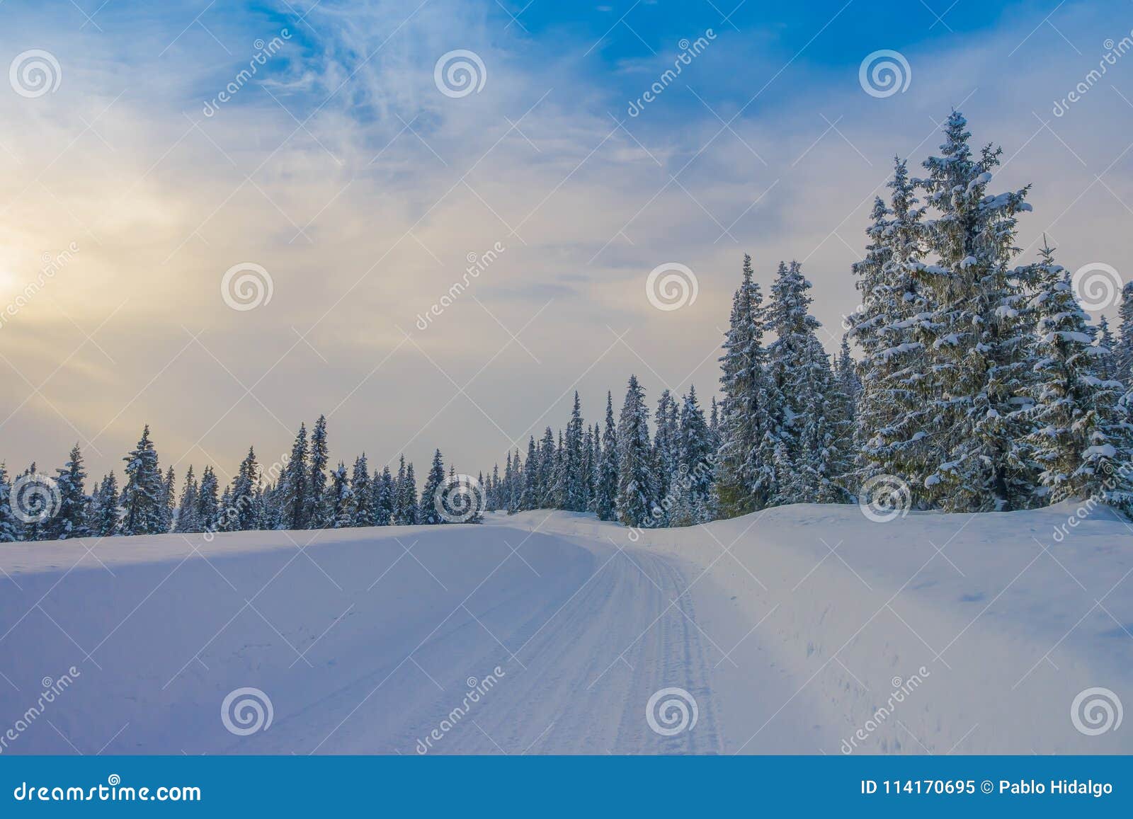 View of Road Partial Covered with Heavy Snow, and Pine Trees in the ...
