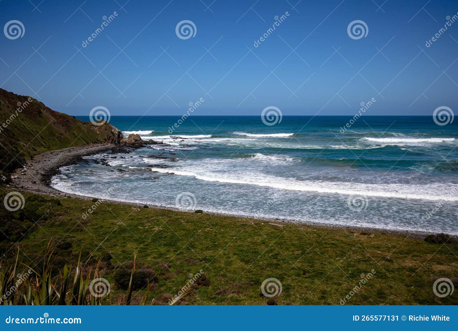 View of Roaring Bay, Catlins, New Zealand Stock Image - Image of beach ...