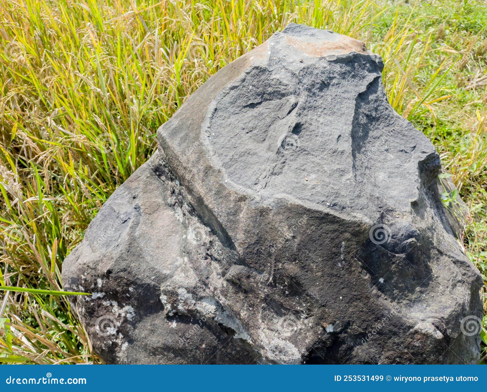 The View of a Rock in the Field Stock Image - Image of bedrock, rock ...