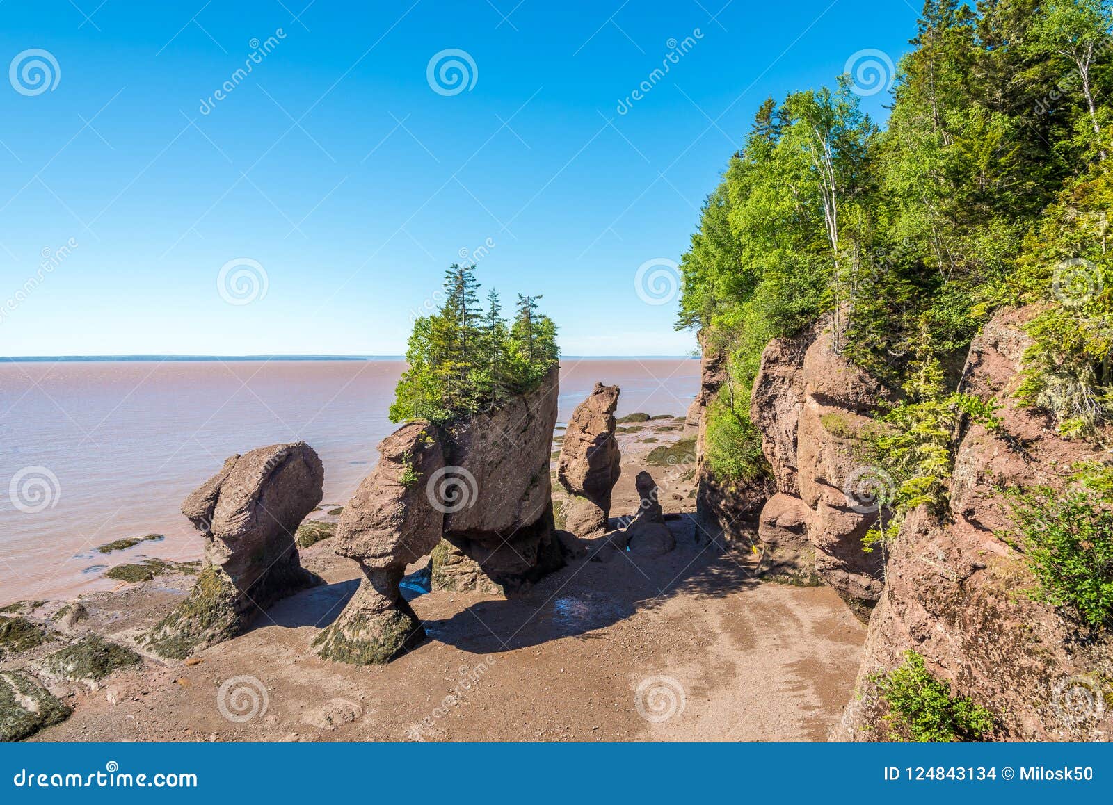 View at the Rock Formations of Bay of Fundy in Canada Stock Photo ...