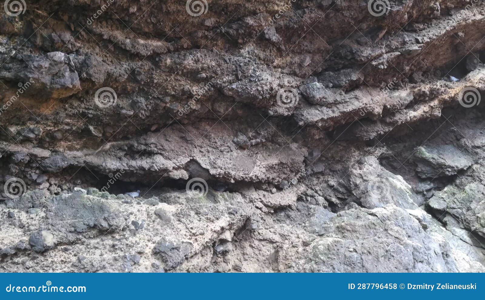 View of the Rock Formations. Bird Nests in the Rocks. Stock Footage ...