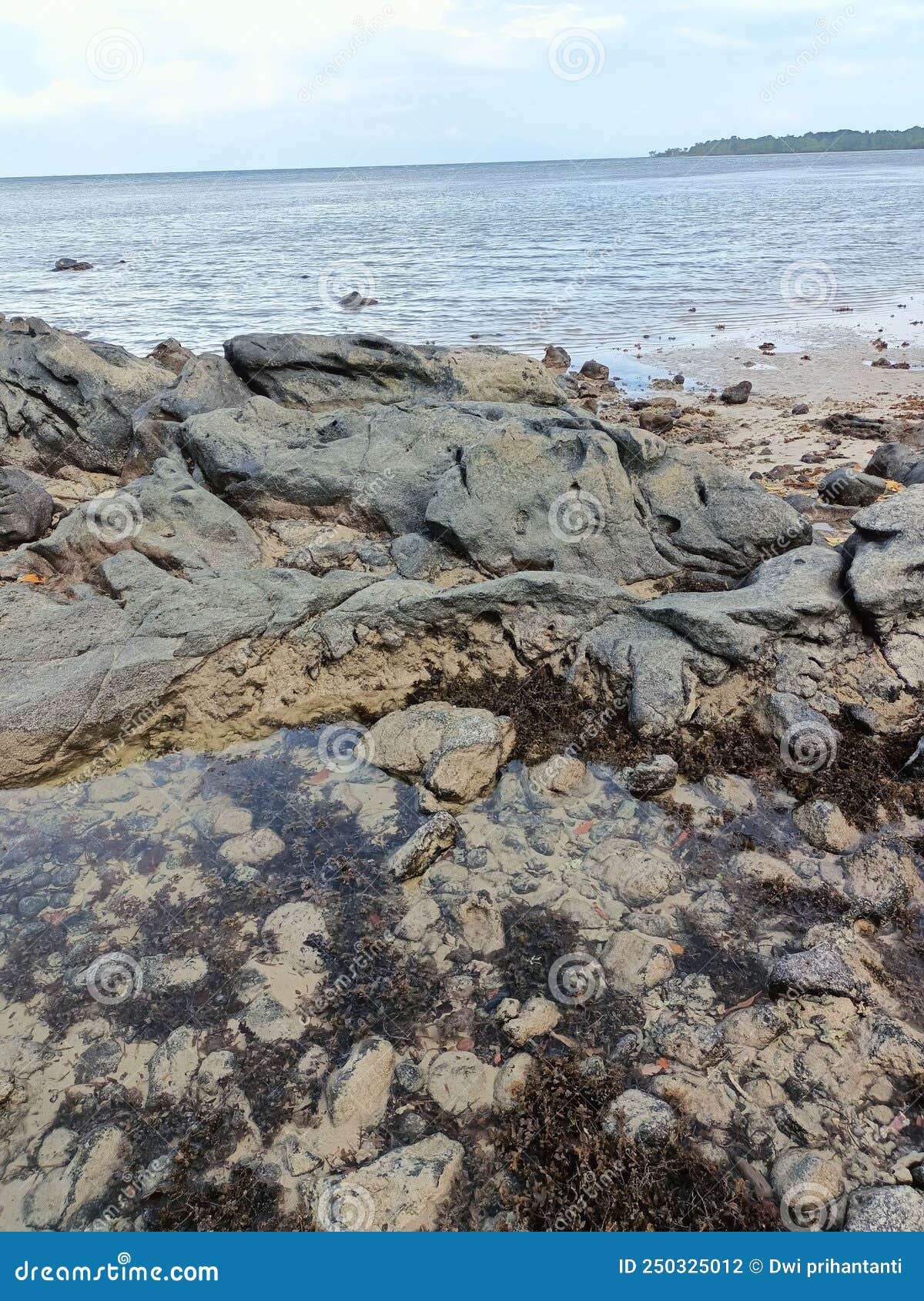 The View of the Rock at Low Tide in the Afternoon on the Baluran Beach ...