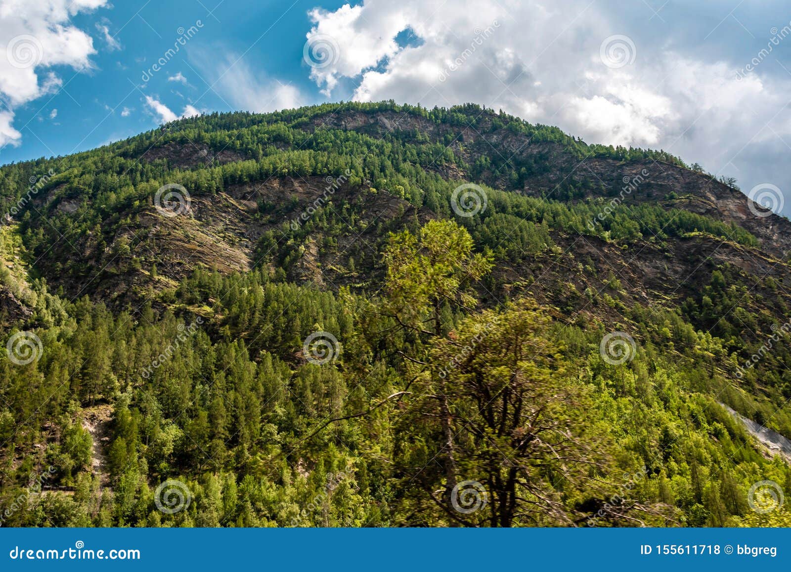 View of Rock Mountain Rock Cliff with Forest. Stock Photo - Image of ...