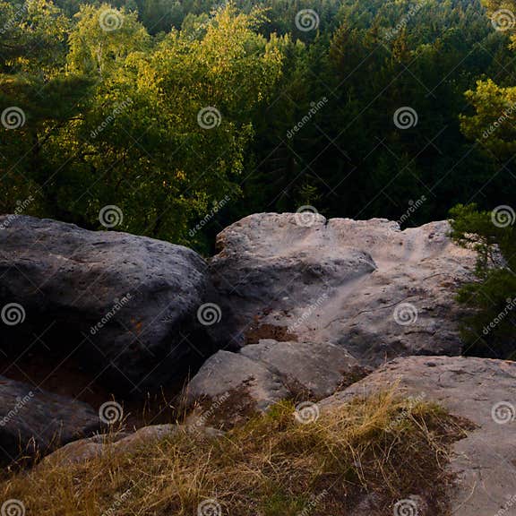 View from Rock To Forrest Valley Stock Image - Image of rock, green ...