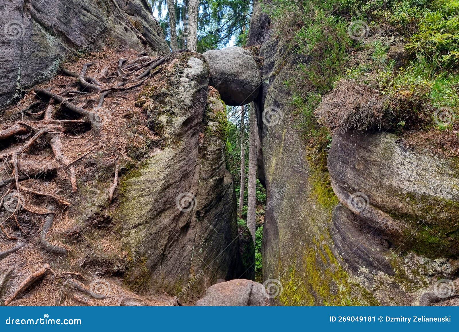 View of the Rocks with Greenery and Tree Roots. Stock Image - Image of ...