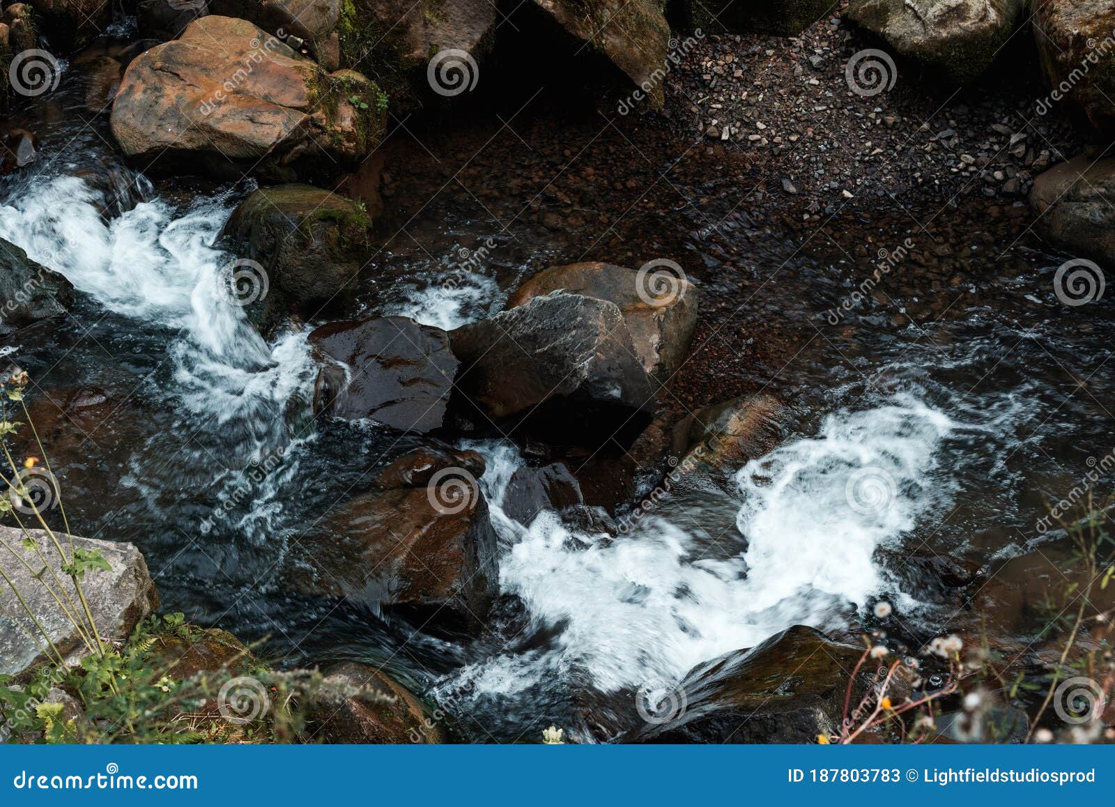 View of Rocks Near Flowing Brook in Forest Stock Image - Image of ...
