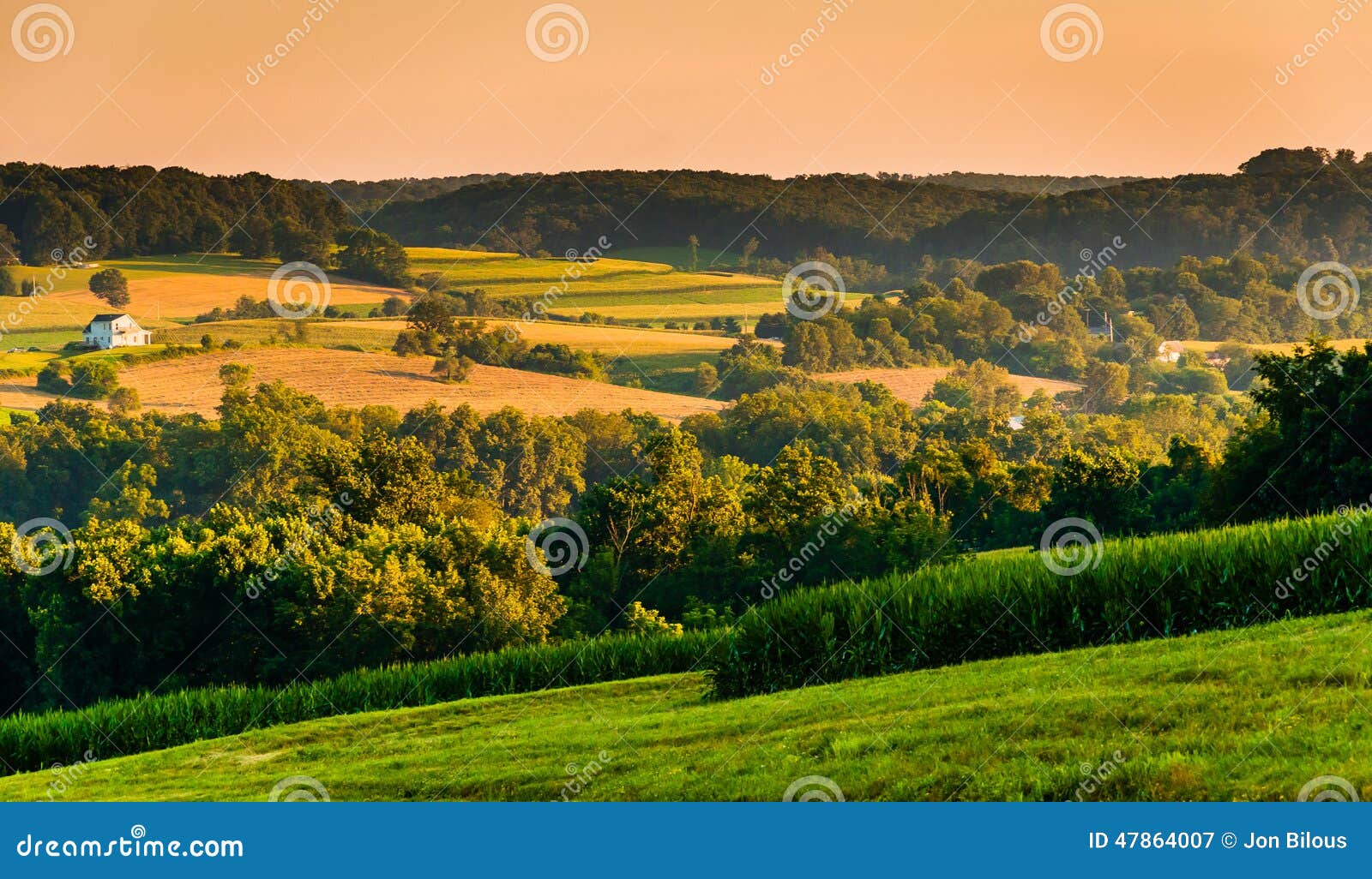 View of Rolling Hills and Farm Fields at Sunset, in Rural York C Stock ...