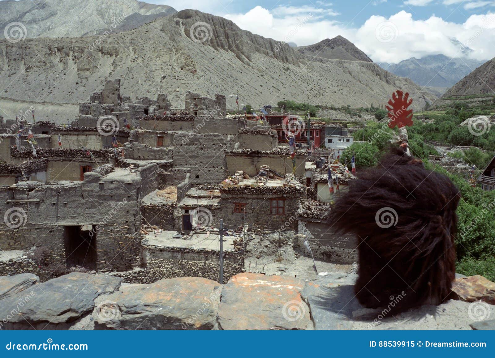 Lotus Flower Upper View Stock Photos - Free & Royalty-Free Stock Photos ...