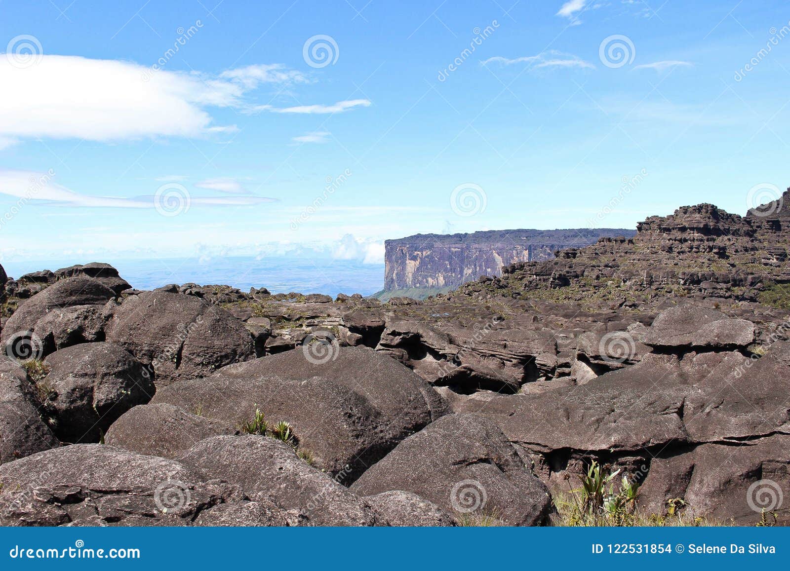 View from the Roraima Tepuy on the Savanna - Venezuela, Stock Photo ...