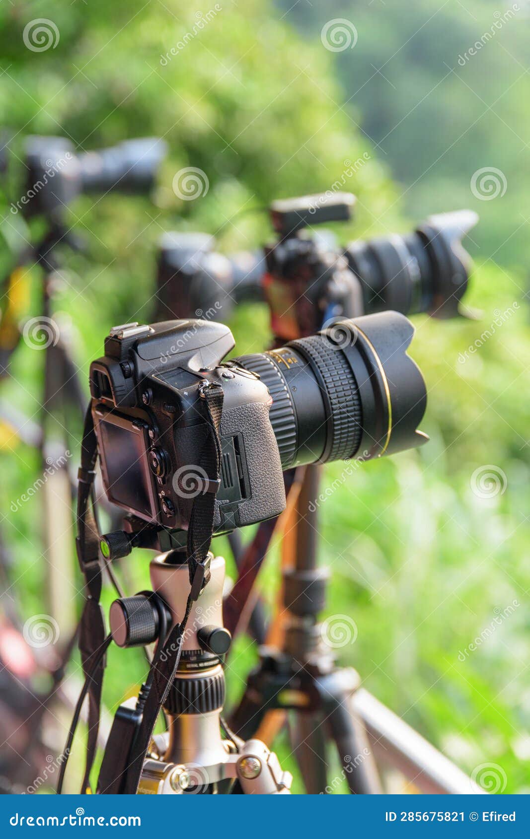 View of Row of Professional Cameras on Tripods Editorial Photo - Image ...
